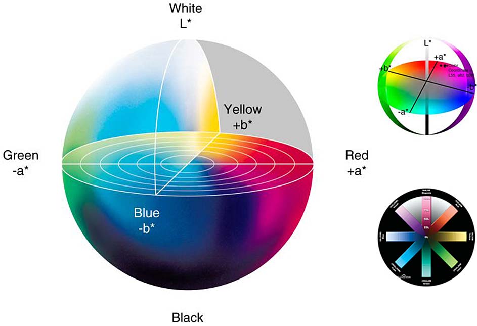 Color Spaces – SmartBay